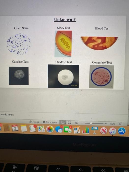 Solved In class report 12 steps for Identification of | Chegg.com