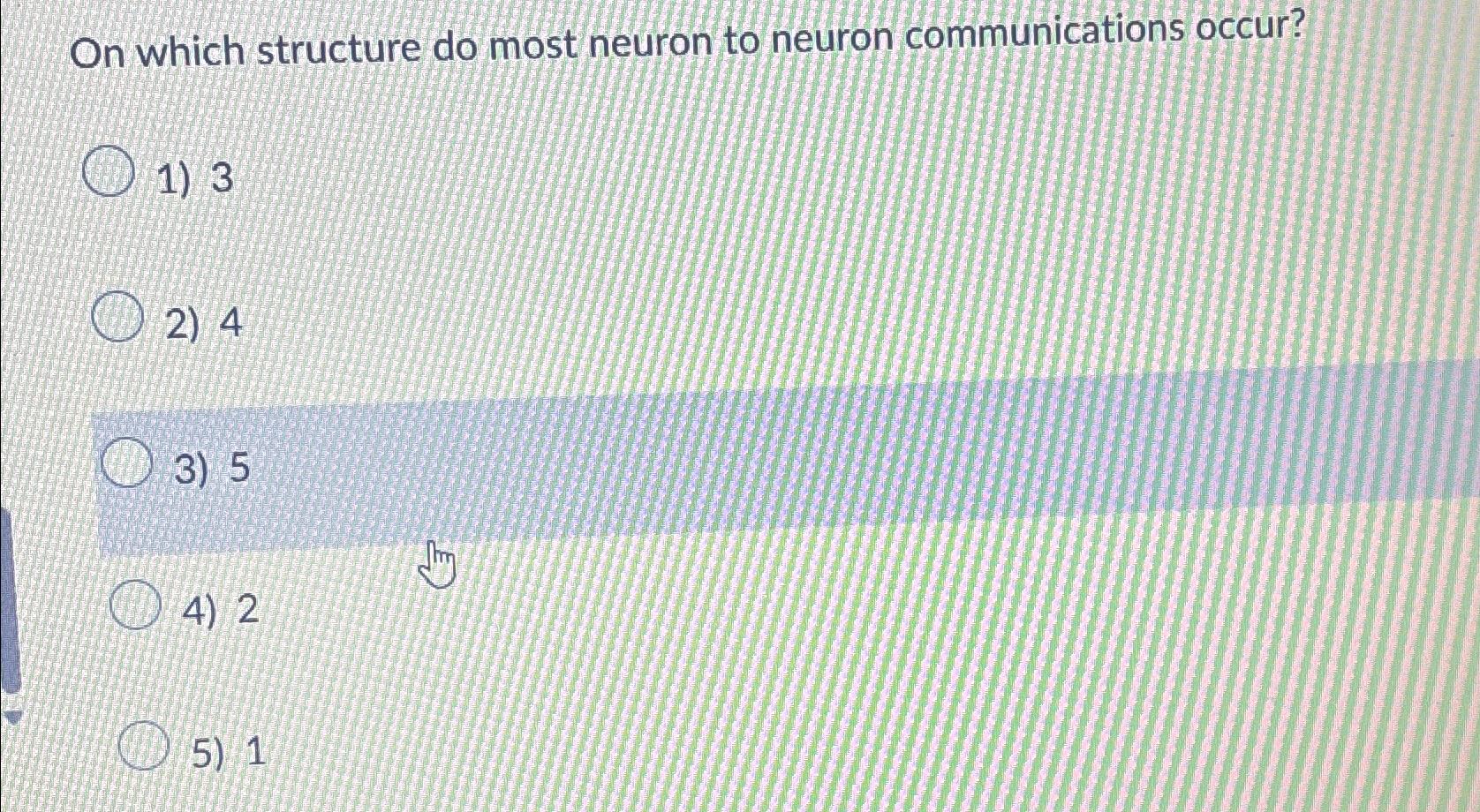 Solved On which structure do most neuron to neuron | Chegg.com