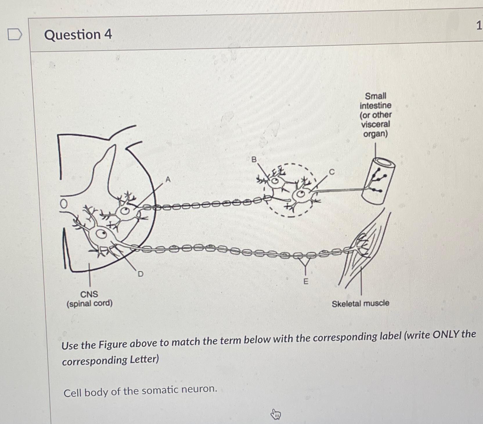 Solved Question 4Use the Figure above to match the term | Chegg.com