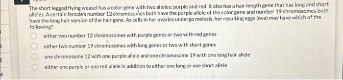 Solved The short legged flying weasel has a color gene with | Chegg.com