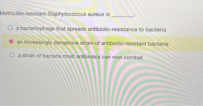 Solved Methicillin-resistant Staphylococcus aureus is a | Chegg.com