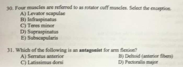 Solved 8. Which below is an example of a muscle with a | Chegg.com