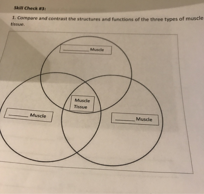 Solved Skill Check #3: 1. Compare and contrast the | Chegg.com