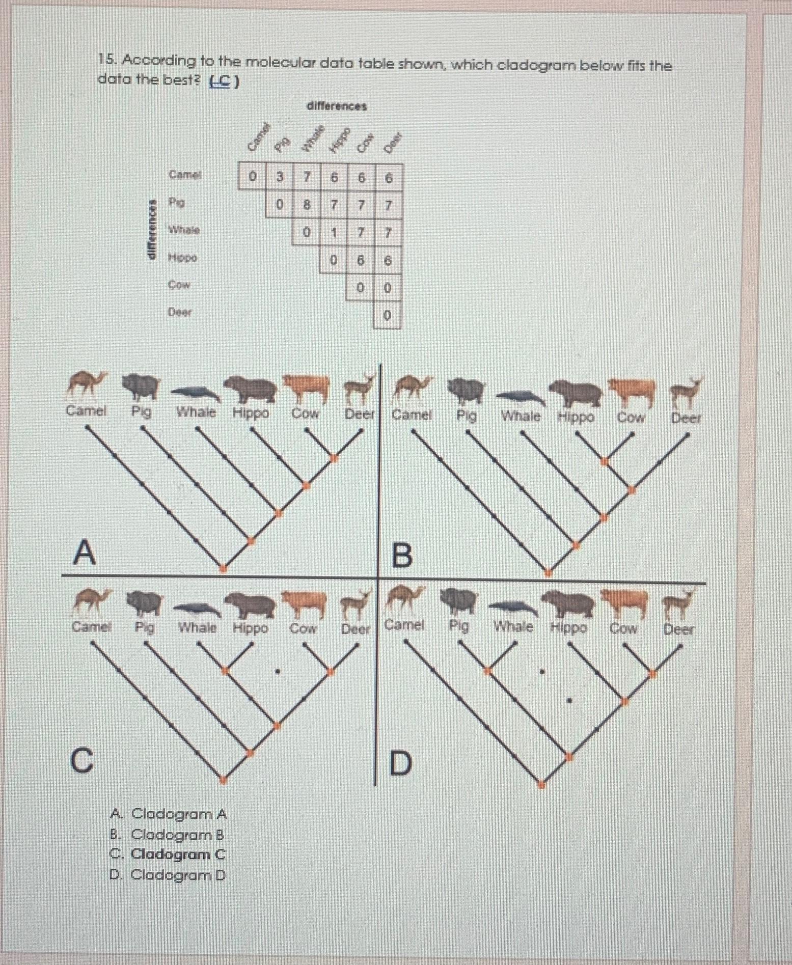 Solved According to the molecular dato table shown, which | Chegg.com