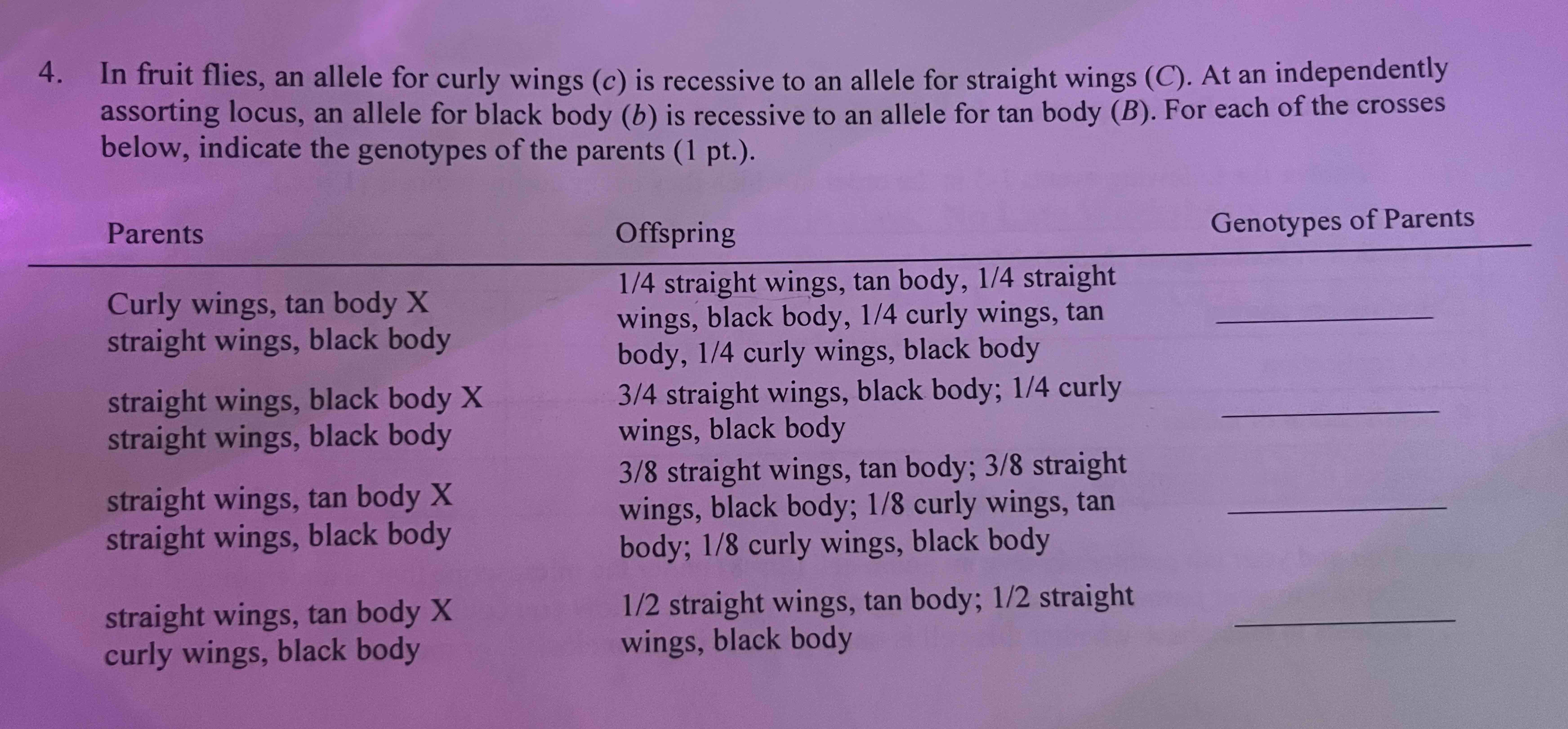 Solved 4. ﻿In fruit flies, an allele for curly wings | Chegg.com