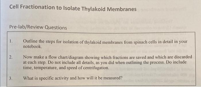 Solved Cell Fractionation to Isolate Thylakoid Membranes | Chegg.com