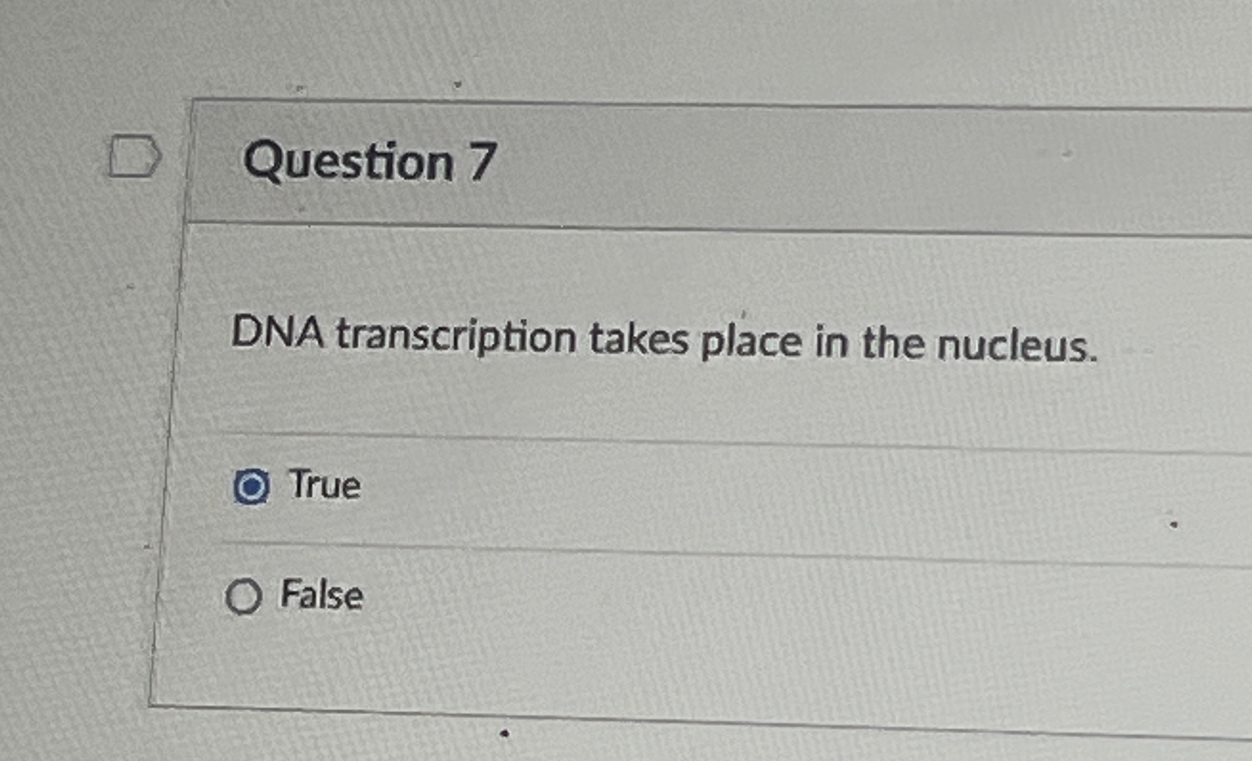 Solved Question 7DNA transcription takes place in the | Chegg.com