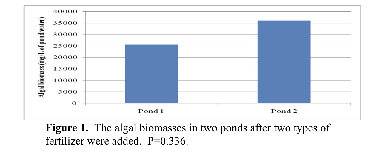 Solved Figure 1. ﻿The algal biomasses in two ponds after two | Chegg.com