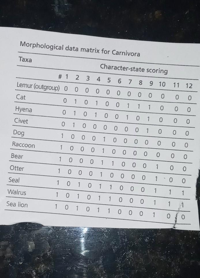 Solved Use the cladistic method to construct a phylogeny | Chegg.com