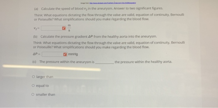 Solved Homework: Bernoulli's Equation - Fusiform Aneurysm | Chegg.com