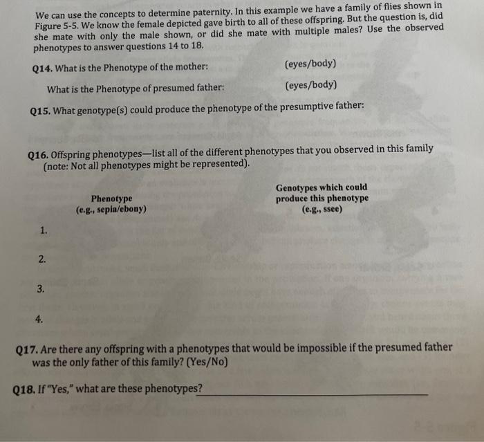 Solved We can use the concepts to determine paternity. In | Chegg.com