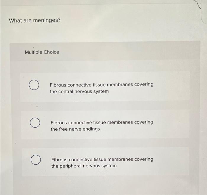 Solved What are meninges? Multiple Choice Fibrous connective | Chegg.com