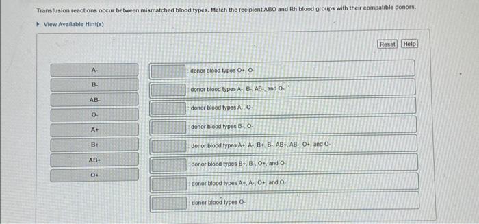 Solved Transfusion reactions occur between mismatched blood | Chegg.com