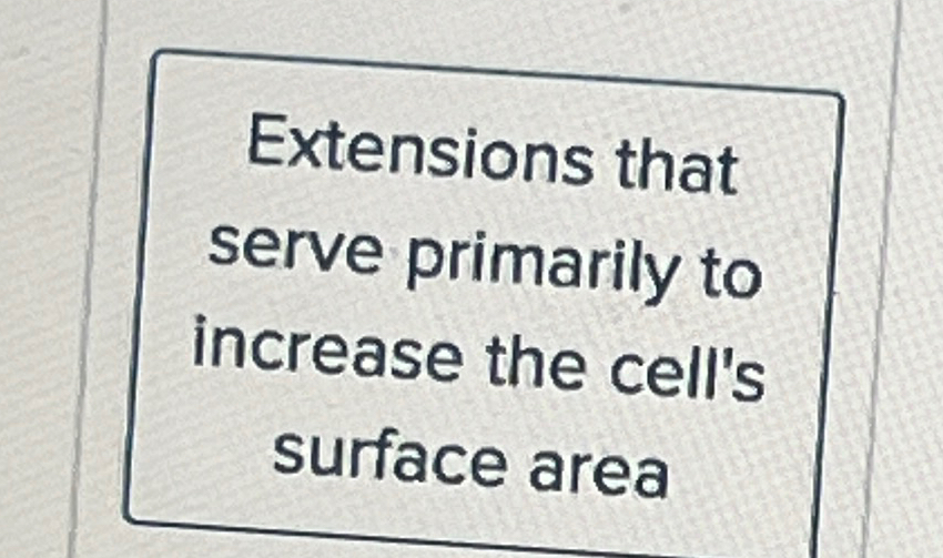 Solved Extensions that serve primarily to increase the | Chegg.com