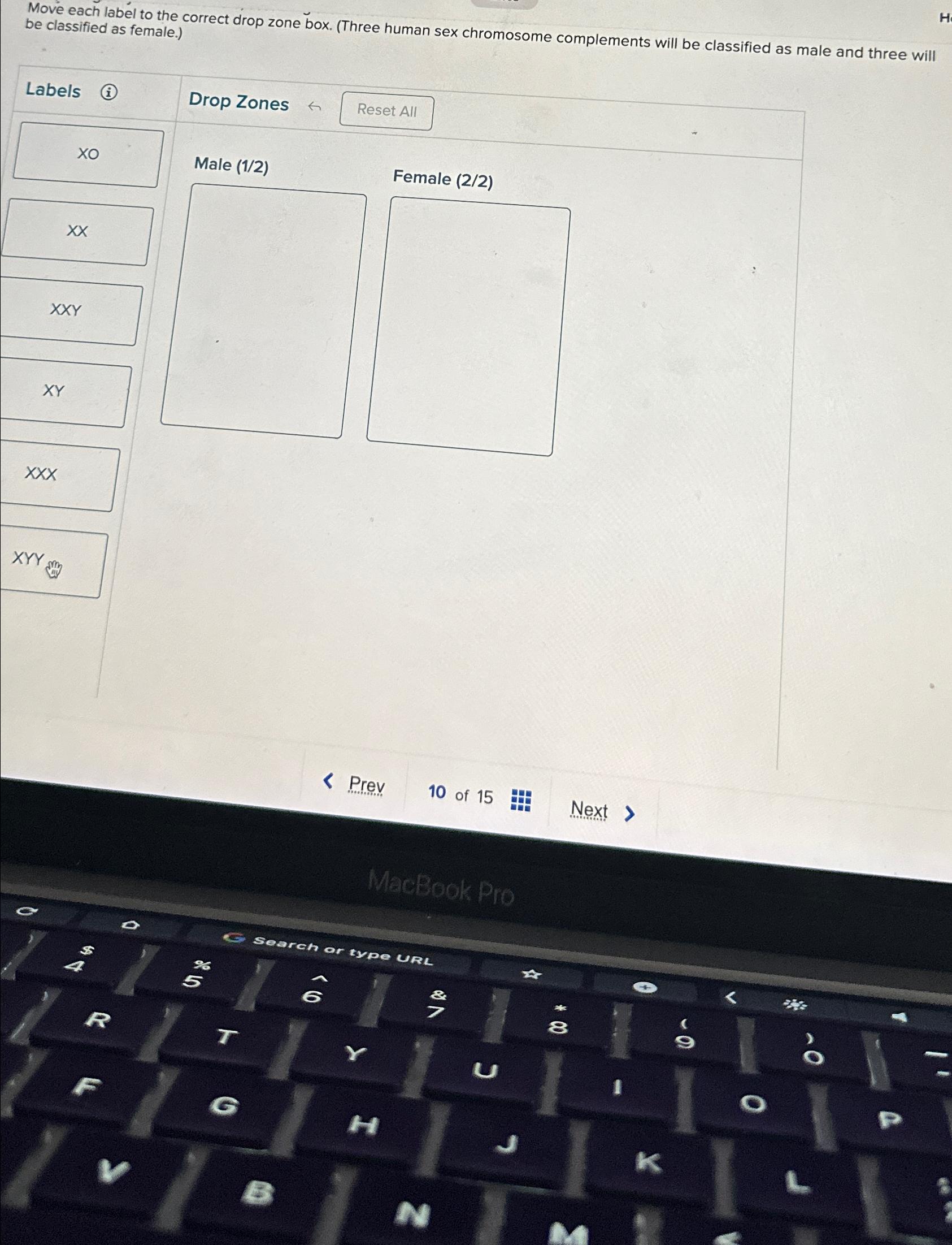 Solved Move each label to the correct drop zone box. (Three | Chegg.com
