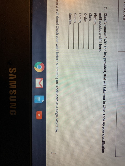 Solved LU. Oldk Dear 7. Classify yourself with the key | Chegg.com