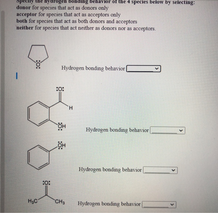 Solved peculy hydrogen bonding behavior of the 4 species | Chegg.com