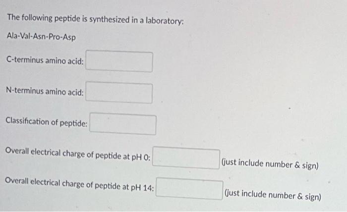 Solved The following peptide is synthesized in a laboratory: | Chegg.com