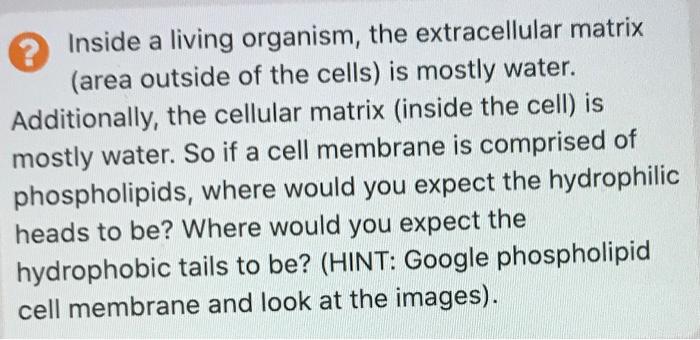 Solved Inside a living organism, the extracellular matrix | Chegg.com