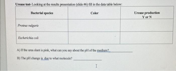 Solved Urease test-Looking at the results presentation | Chegg.com