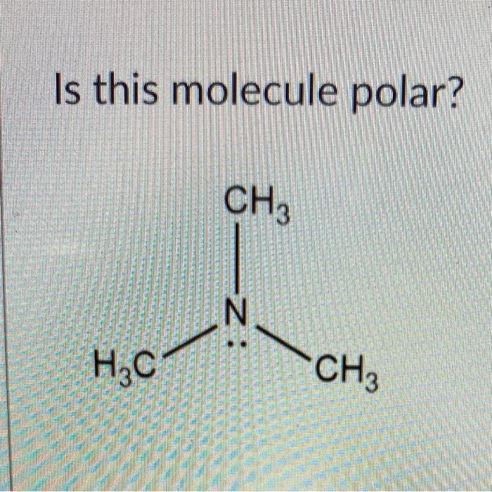Solved Is this molecule polar? CH3 N H,C CH3 What is the | Chegg.com