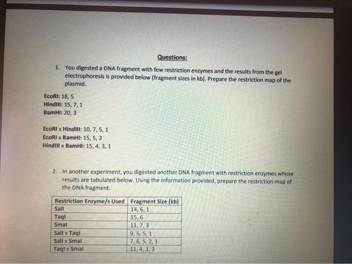 Solved Questions: 1. You digested a DNA fragment with few | Chegg.com