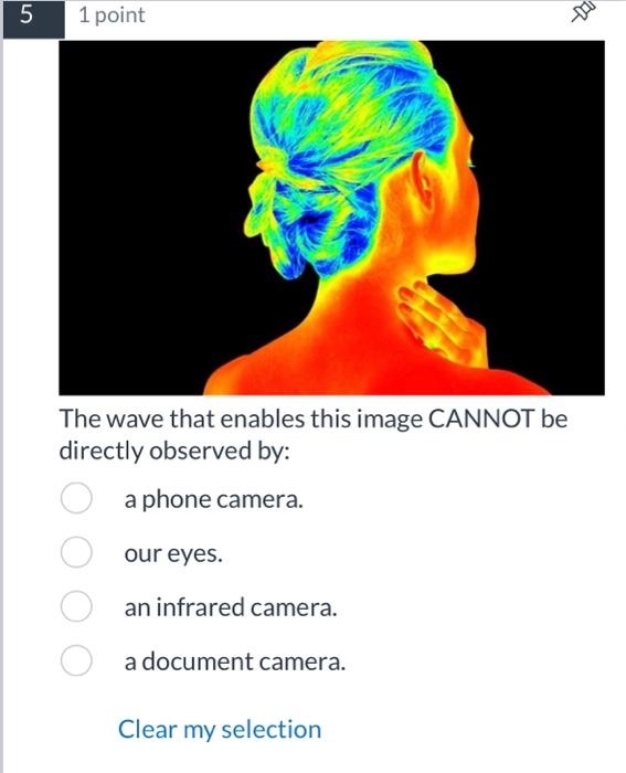 Solved The wave that enables this image CANNOT be directly | Chegg.com