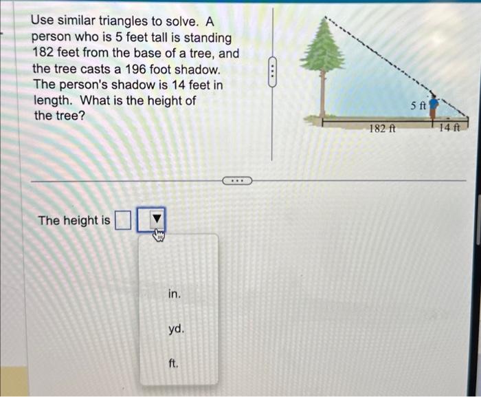 Solved Use similar triangles to solve. A person who is 5 | Chegg.com