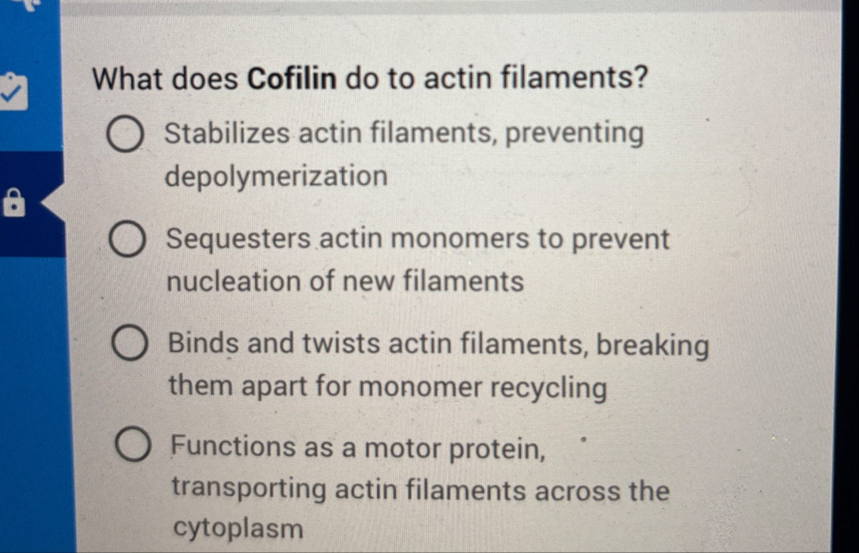 Solved What does Cofilin do to actin filaments?Stabilizes | Chegg.com