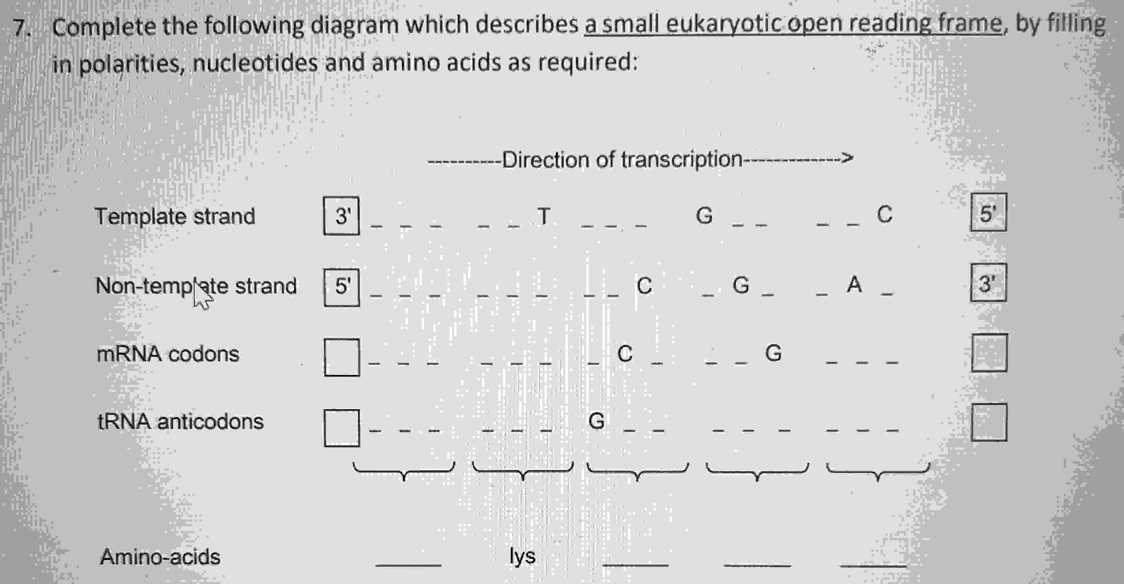 Solved Complete The Following Diagram Which Describes A