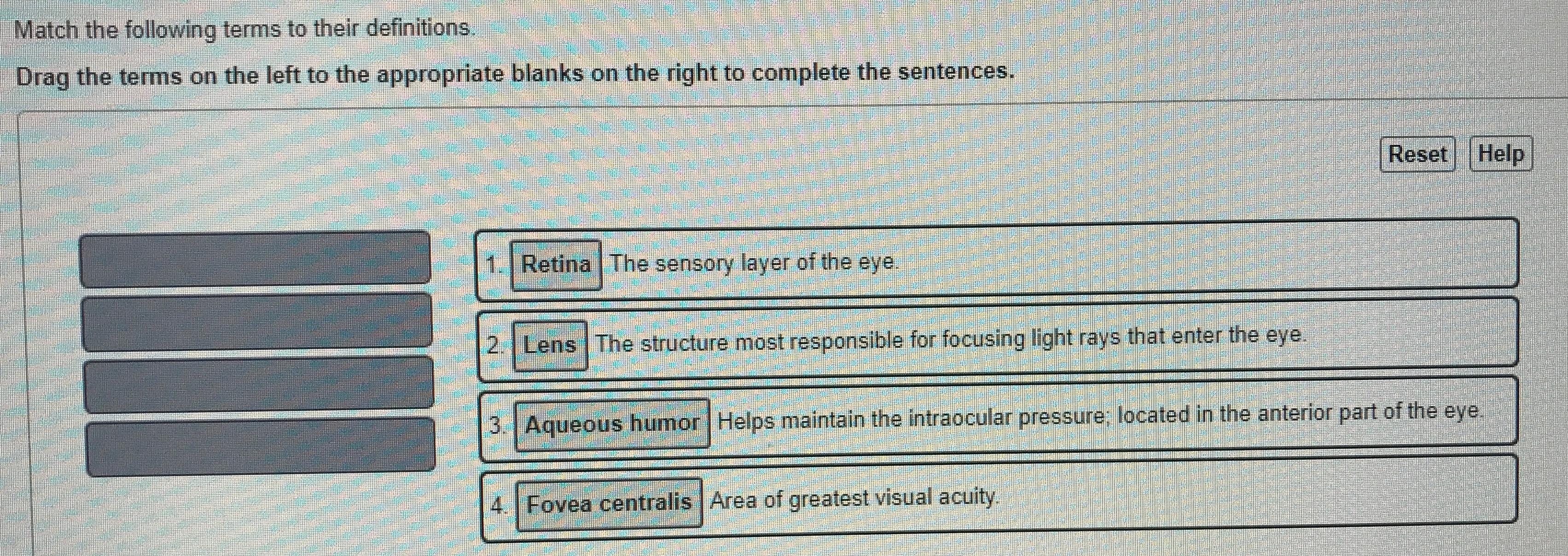 Solved Match the following terms to their definitions.Drag | Chegg.com
