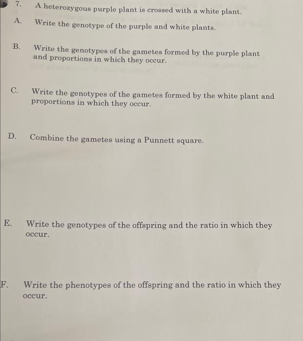 Solved 7. A heterozygous purple plant is crossed with a | Chegg.com