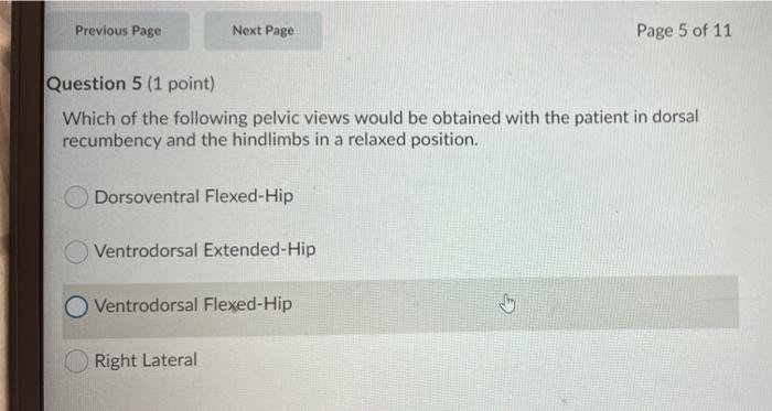 Solved Previous Page Next Page Page 5 of 11 Question 5 (1 | Chegg.com