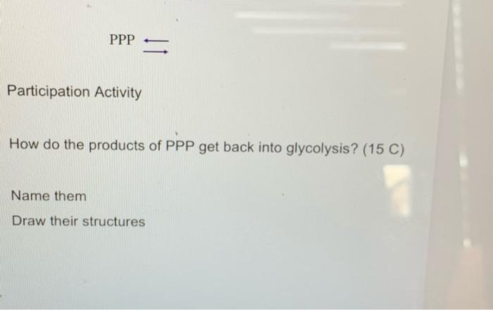 Solved PPP Participation Activity How do the products of PPP | Chegg.com