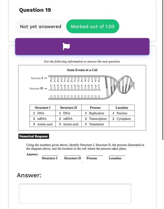Solved Certain enzymes produce staggered cuts in DNA known | Chegg.com