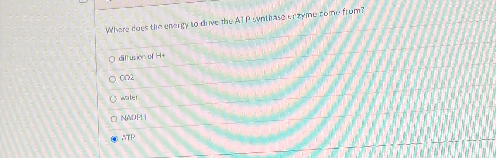 Solved Where does the energy to drive the ATP synthase | Chegg.com