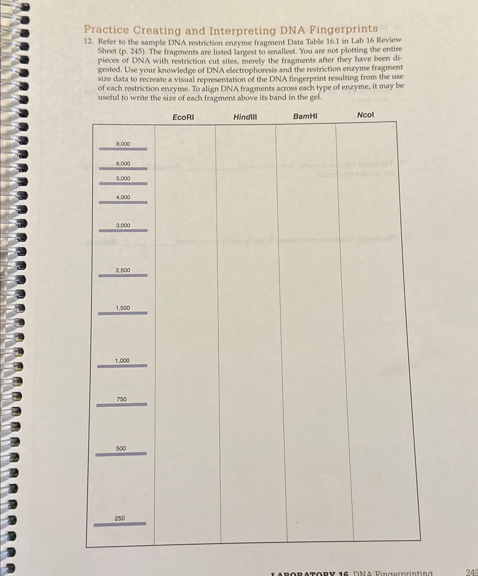 Solved Practice Creating and Interpreting DNA | Chegg.com