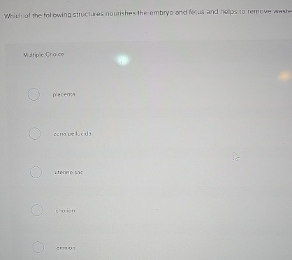 Solved Which of the following structures nourishes the | Chegg.com