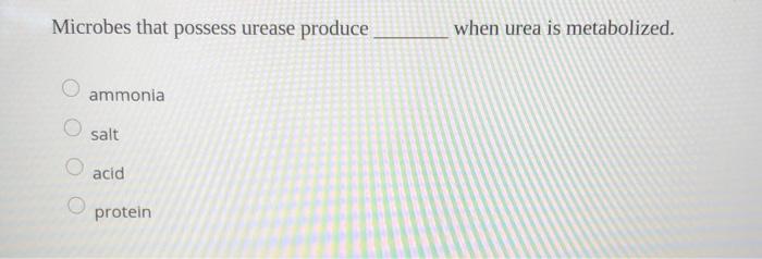 Solved Microbes that possess urease produce when urea is | Chegg.com
