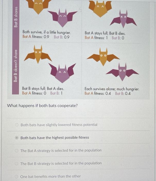 Solved A A Bat B shares Both survive, if a little hungrier. | Chegg.com