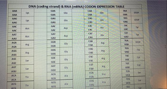 Solved Coding Strand Template Stand mRNA tRNA Amino Acid | Chegg.com