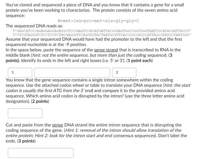 Solved You've cloned and sequenced a piece of DNA and you | Chegg.com