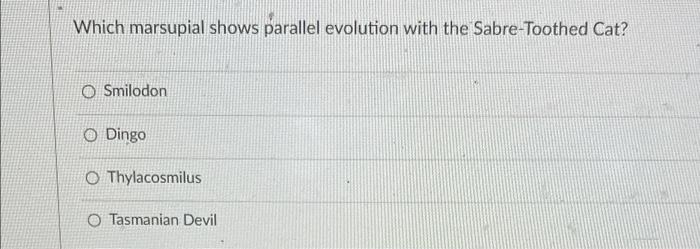 Solved Which marsupial shows parallel evolution with the | Chegg.com