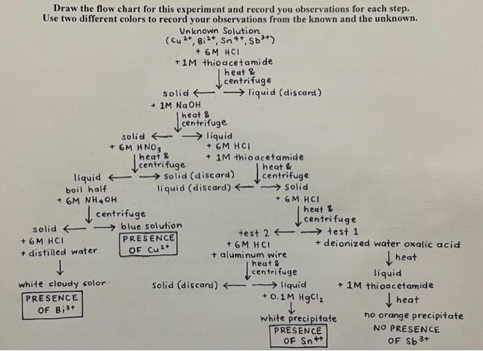 Solved Draw the flow chart for this experiment and record | Chegg.com