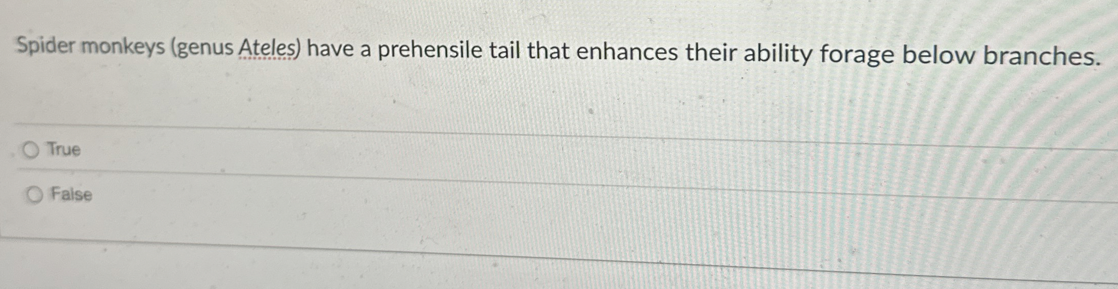 Solved Spider monkeys (genus Ateles) ﻿have a prehensile tail | Chegg.com
