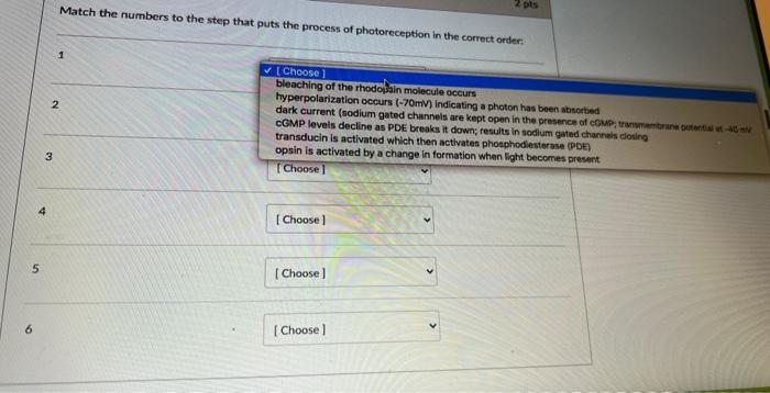 Solved Match the numbers to the step that puts the process | Chegg.com