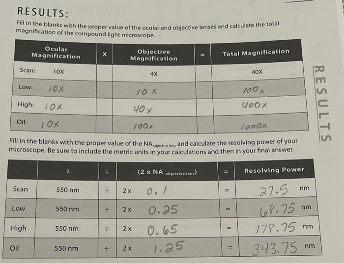 Compound Light Microscope Magnification Calculation | Shelly Lighting