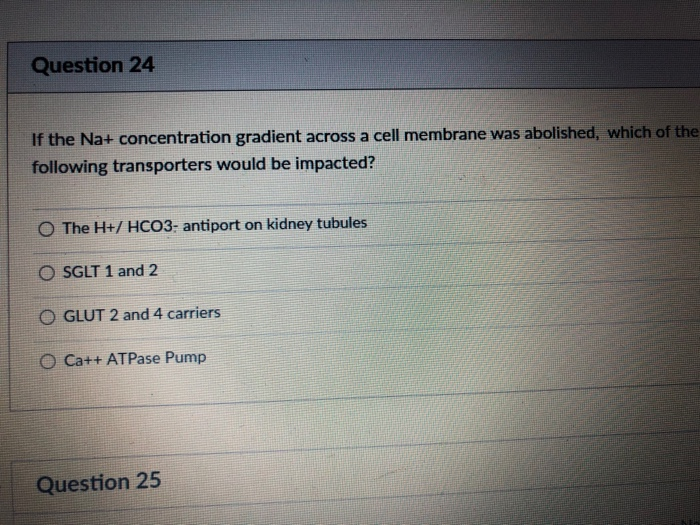 Solved Question 24 If the Na+ concentration gradient across | Chegg.com