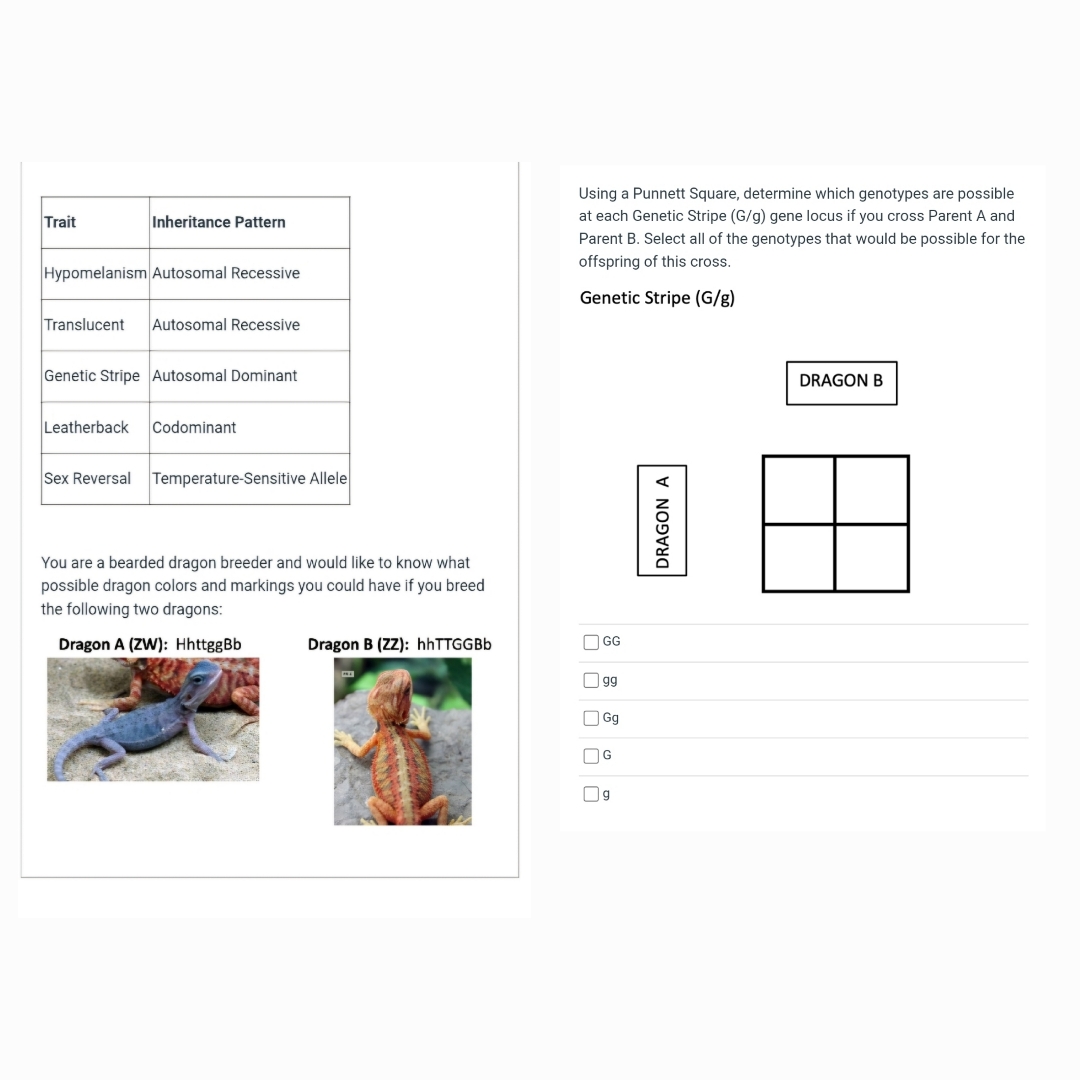 Solved \table[[Trait,Inheritance | Chegg.com