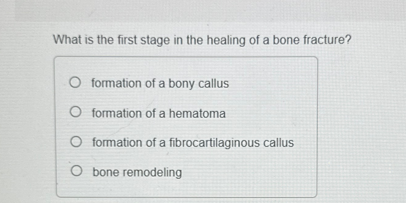 Solved What is the first stage in the healing of a bone | Chegg.com